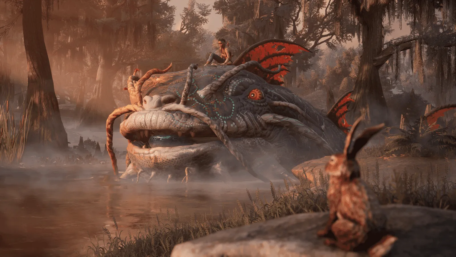 Portfolio | Agora Studio